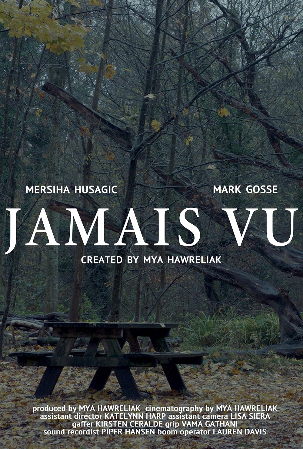 Jamais Vu (2022)