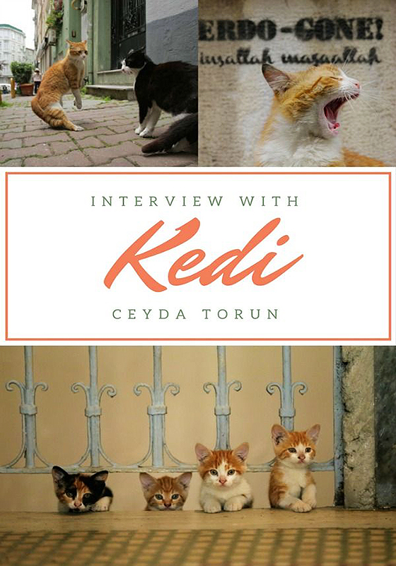 Kedi (2016)