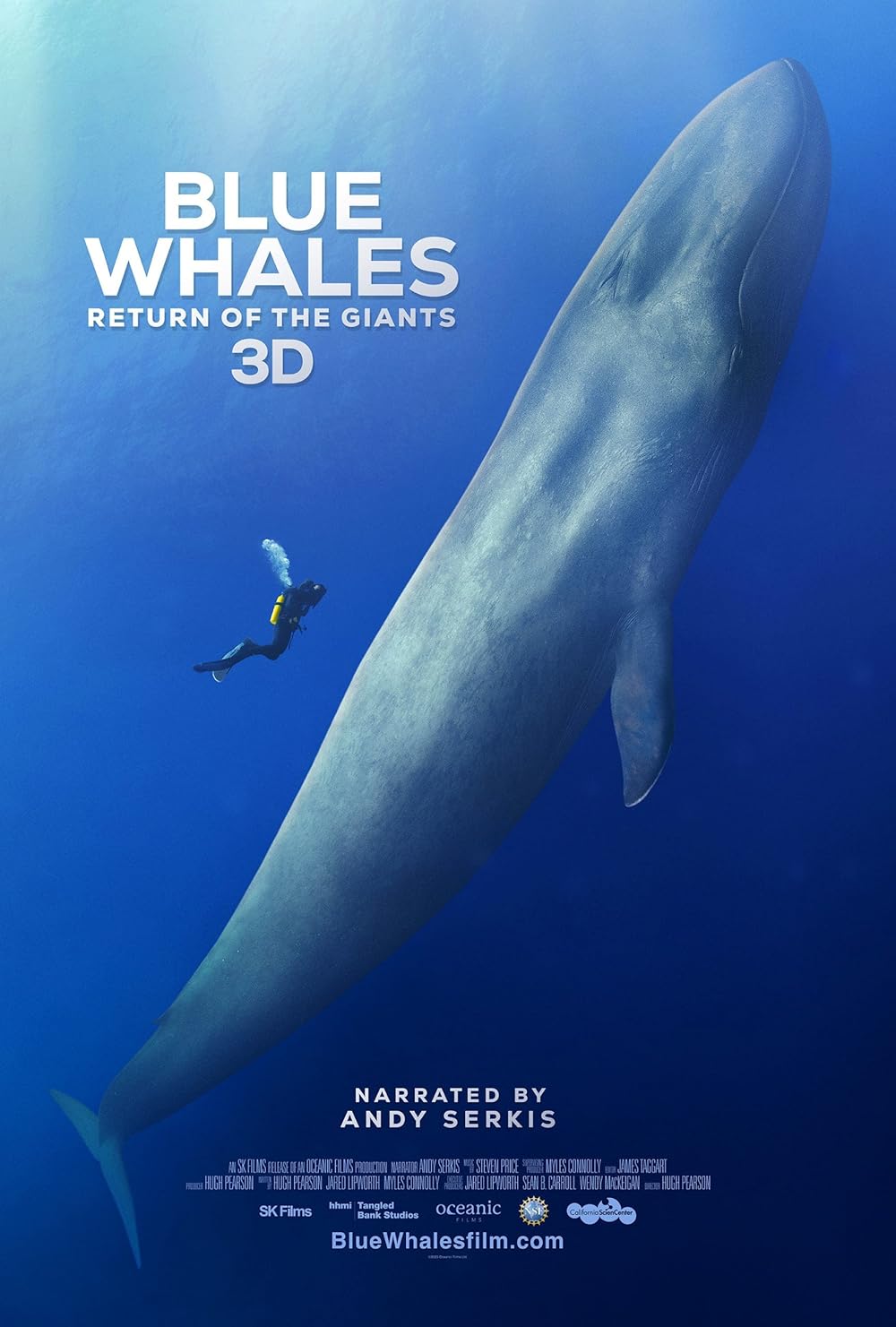 Blue Whales: Return of the Giants (2023) - IMDb