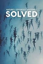 Mysterious Creatures with Forrest Galante (TV Series 2021– ) - IMDb