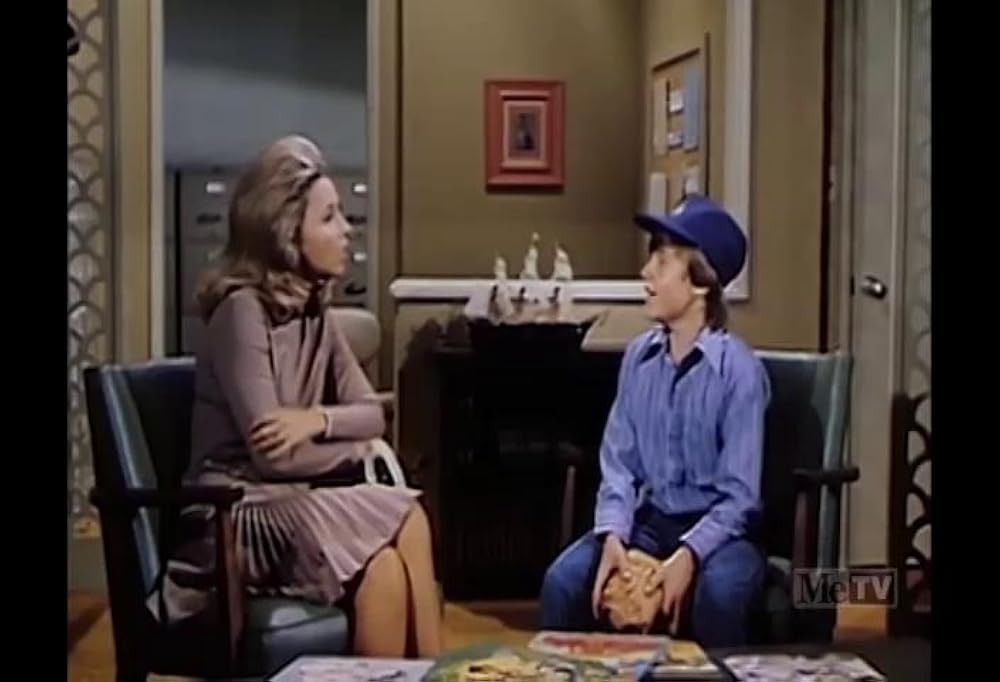 My Three Sons (1960)