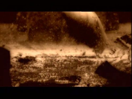 Digging for the Truth (2005)