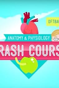 "Crash Course: Anatomy & Physiology" Blood Vessels Part 1: Form and ...