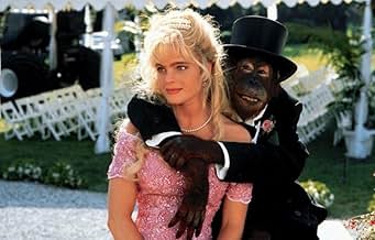 The Beverly Hillbillies (1993) - IMDb