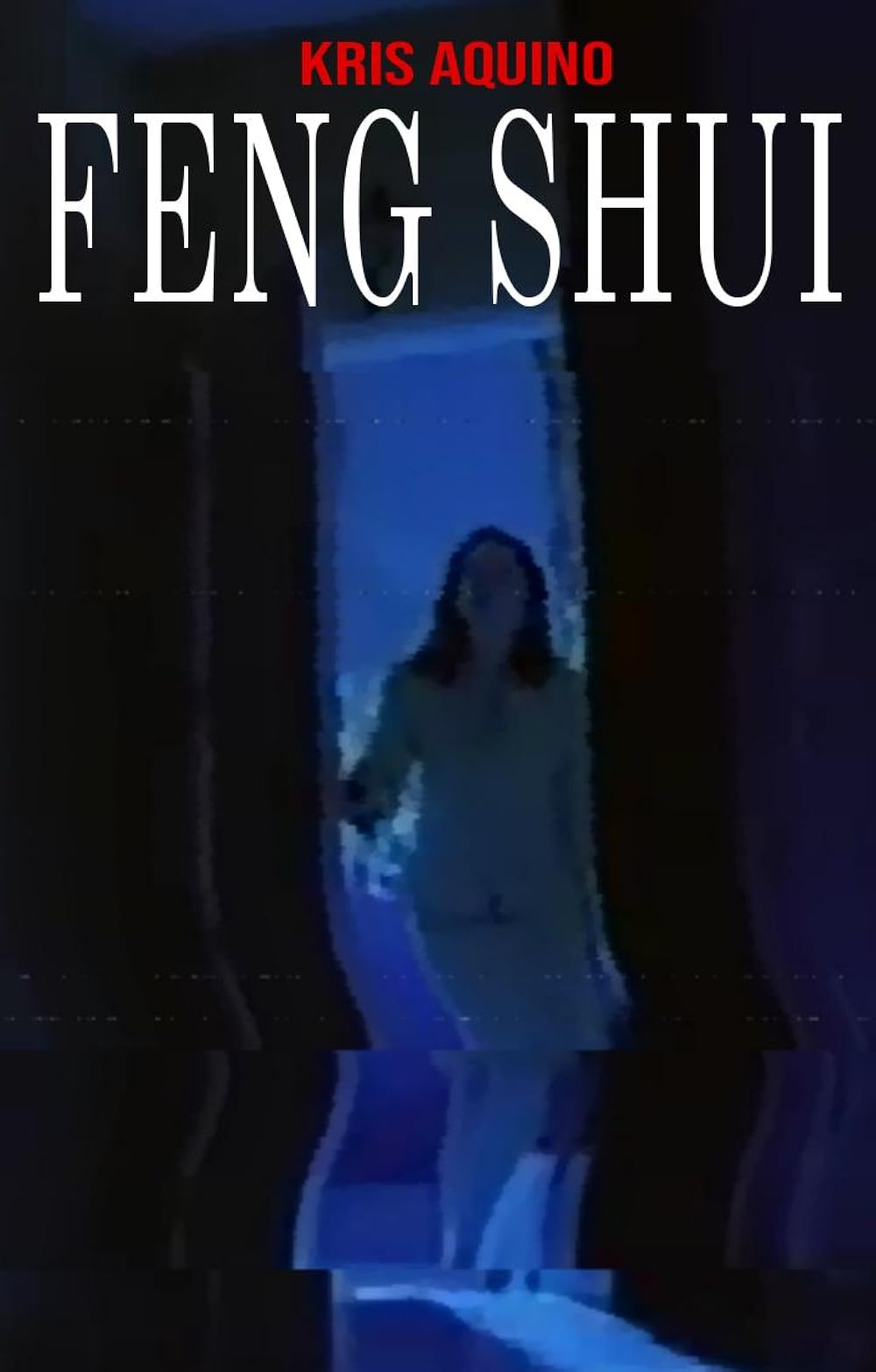 Feng Shui (2004)