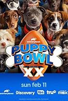 Puppy Bowl XXI (TV Special 2025) - IMDb