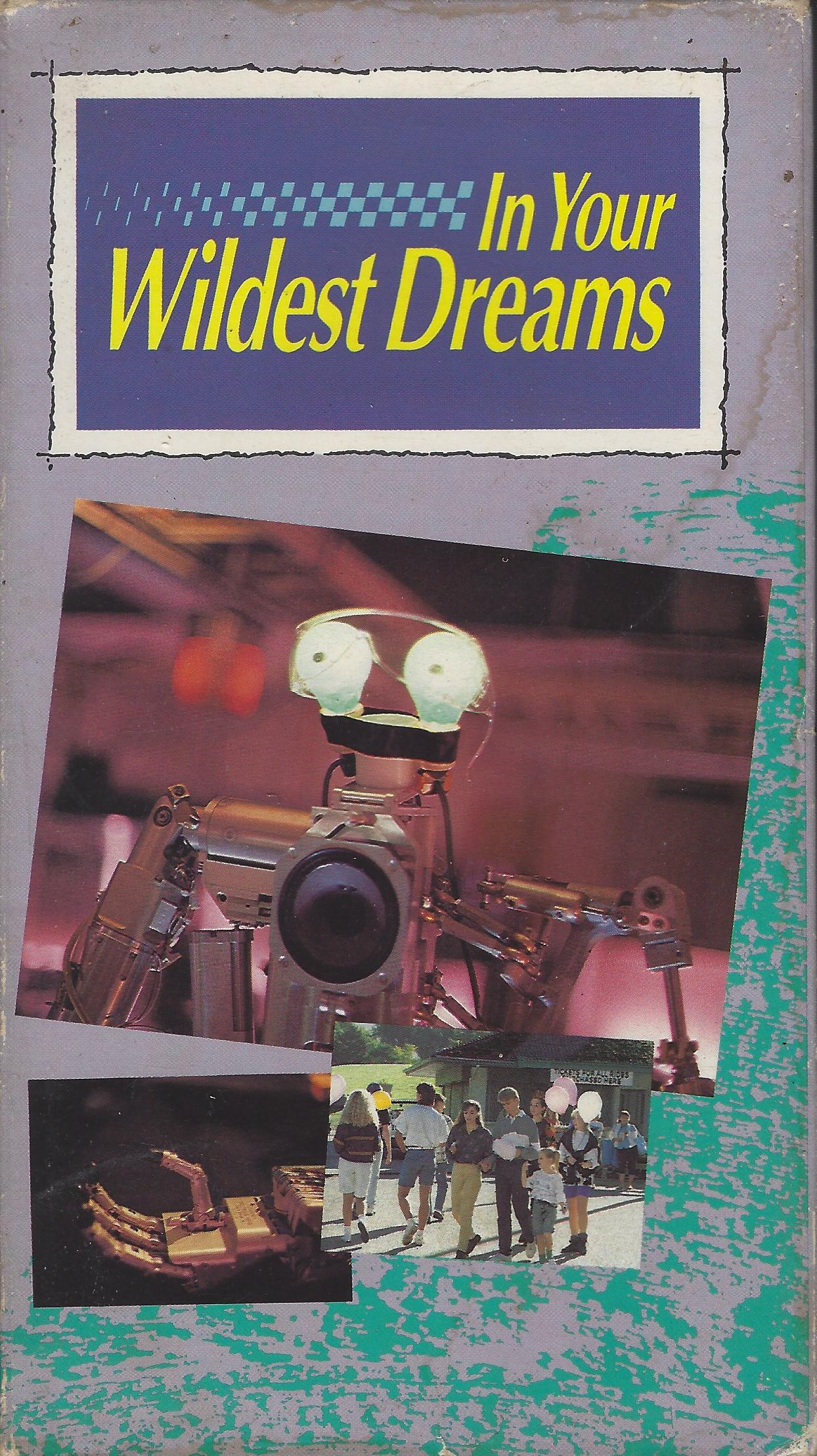 In Your Wildest Dreams (1991)