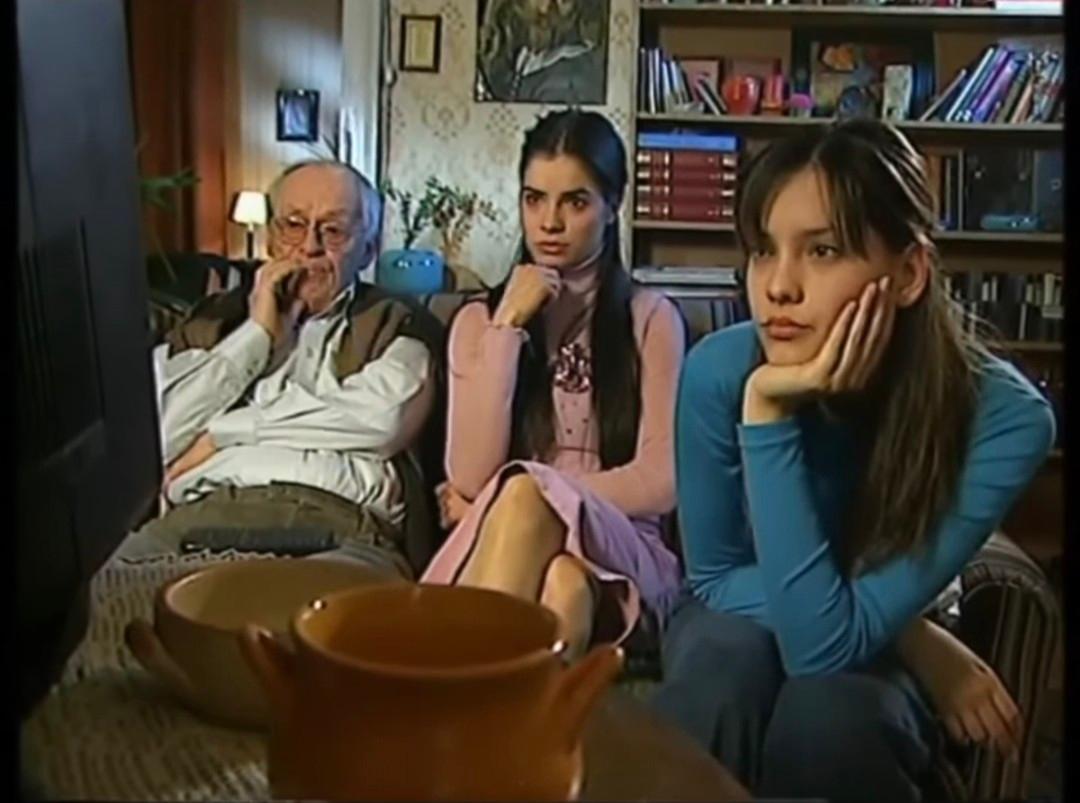 Ljubav, navika, panika (2005)