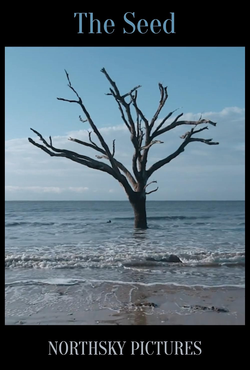 The Seed (Short 2020) - IMDb