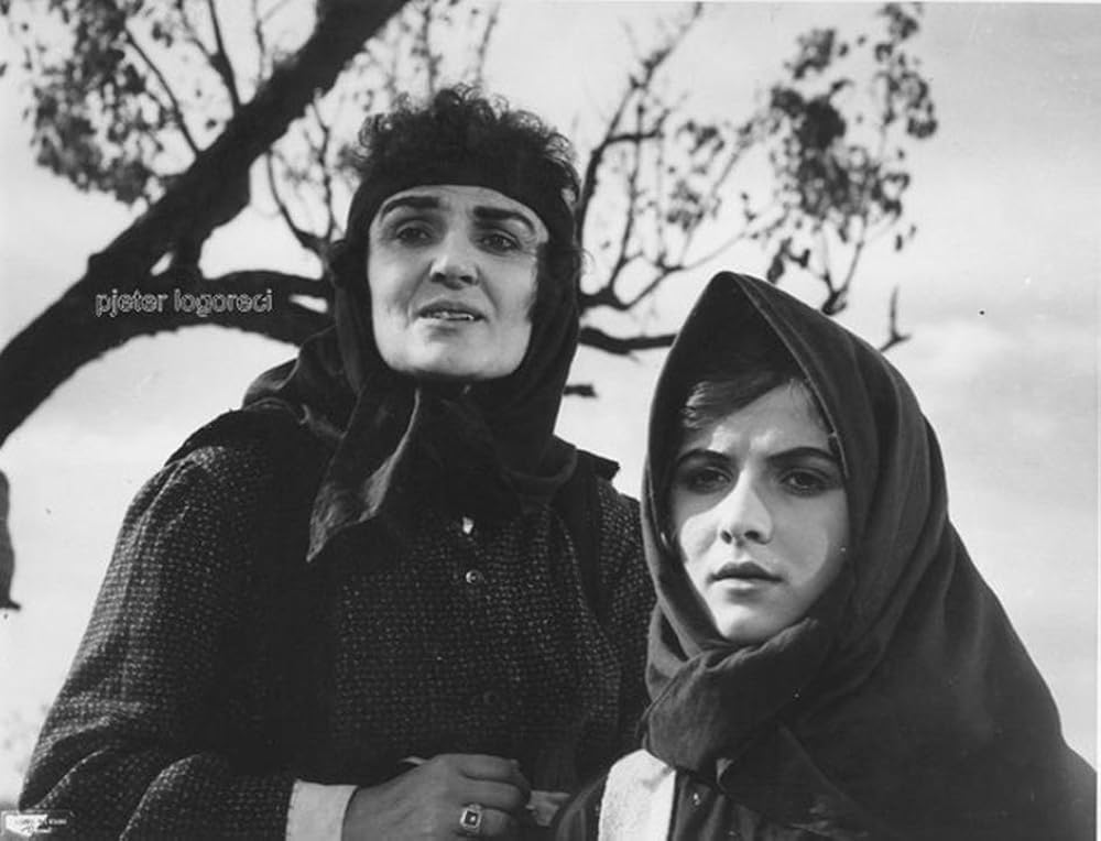 Toka jonë (1964) - IMDb