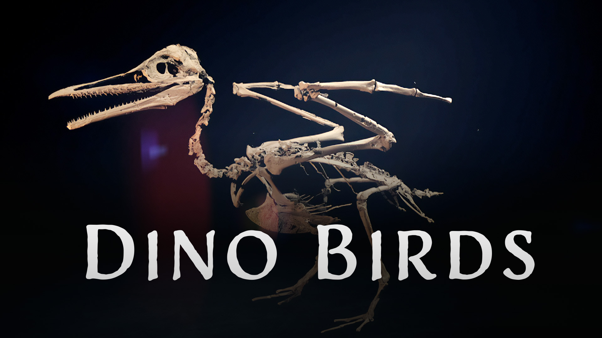 Dino Birds (2025)