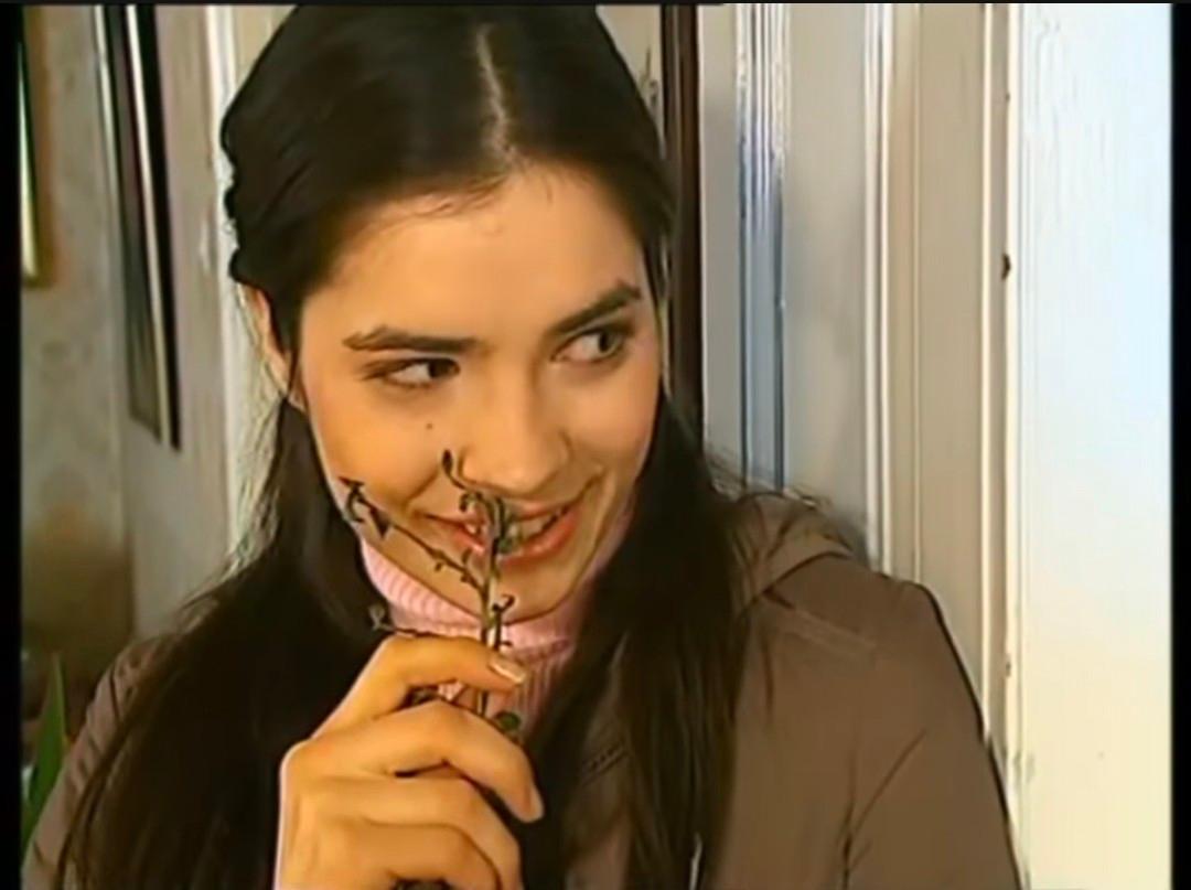 Ljubav, navika, panika (2005)