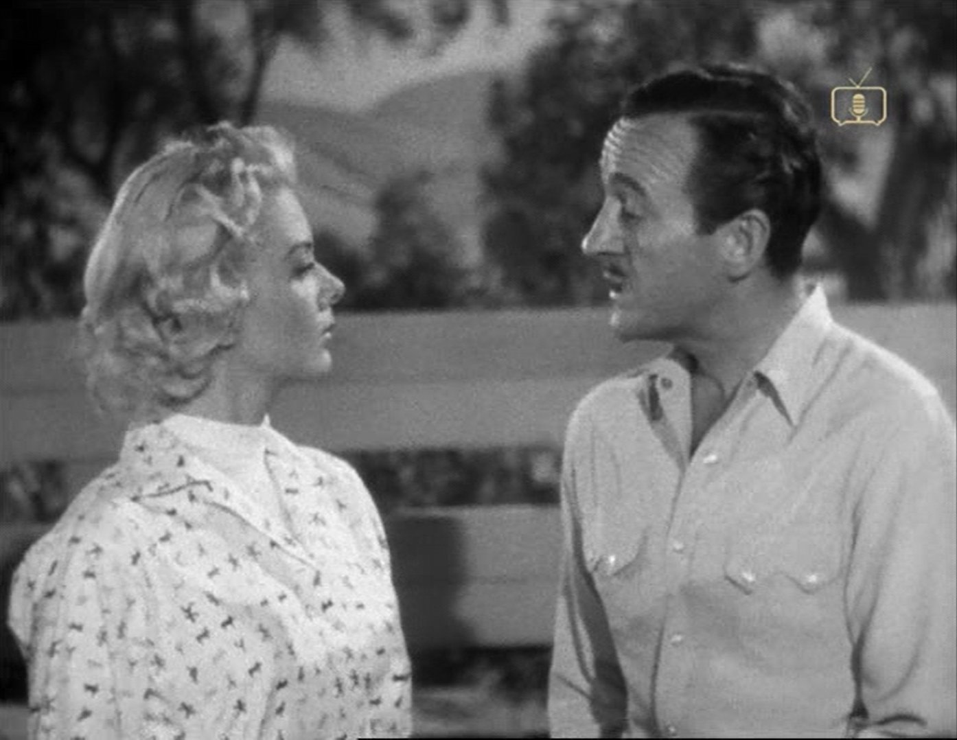 Four Star Playhouse (1952)