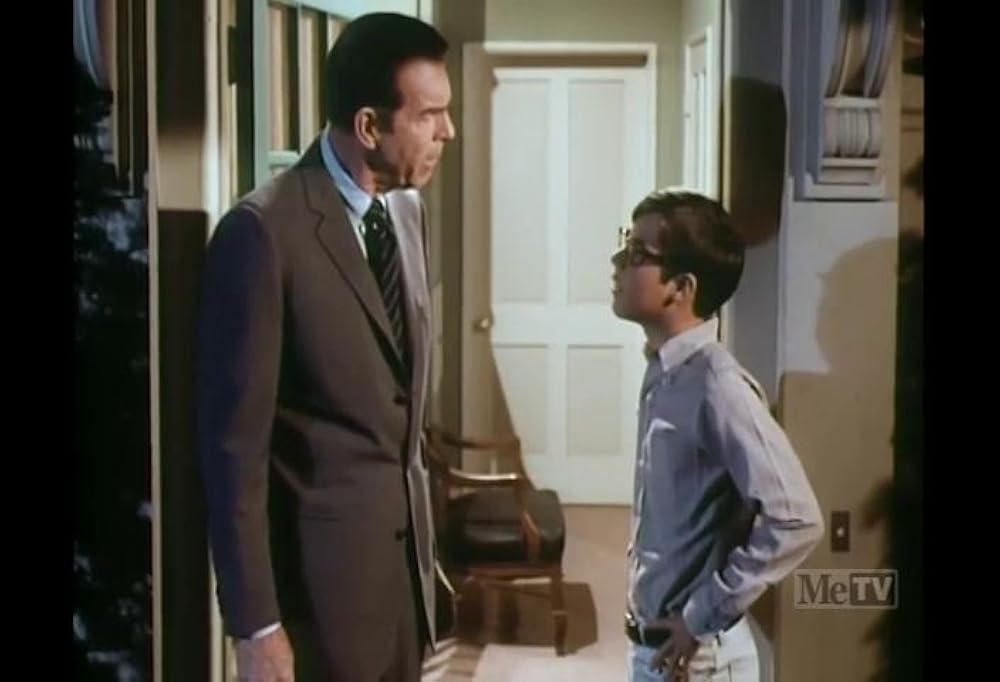 My Three Sons (1960)