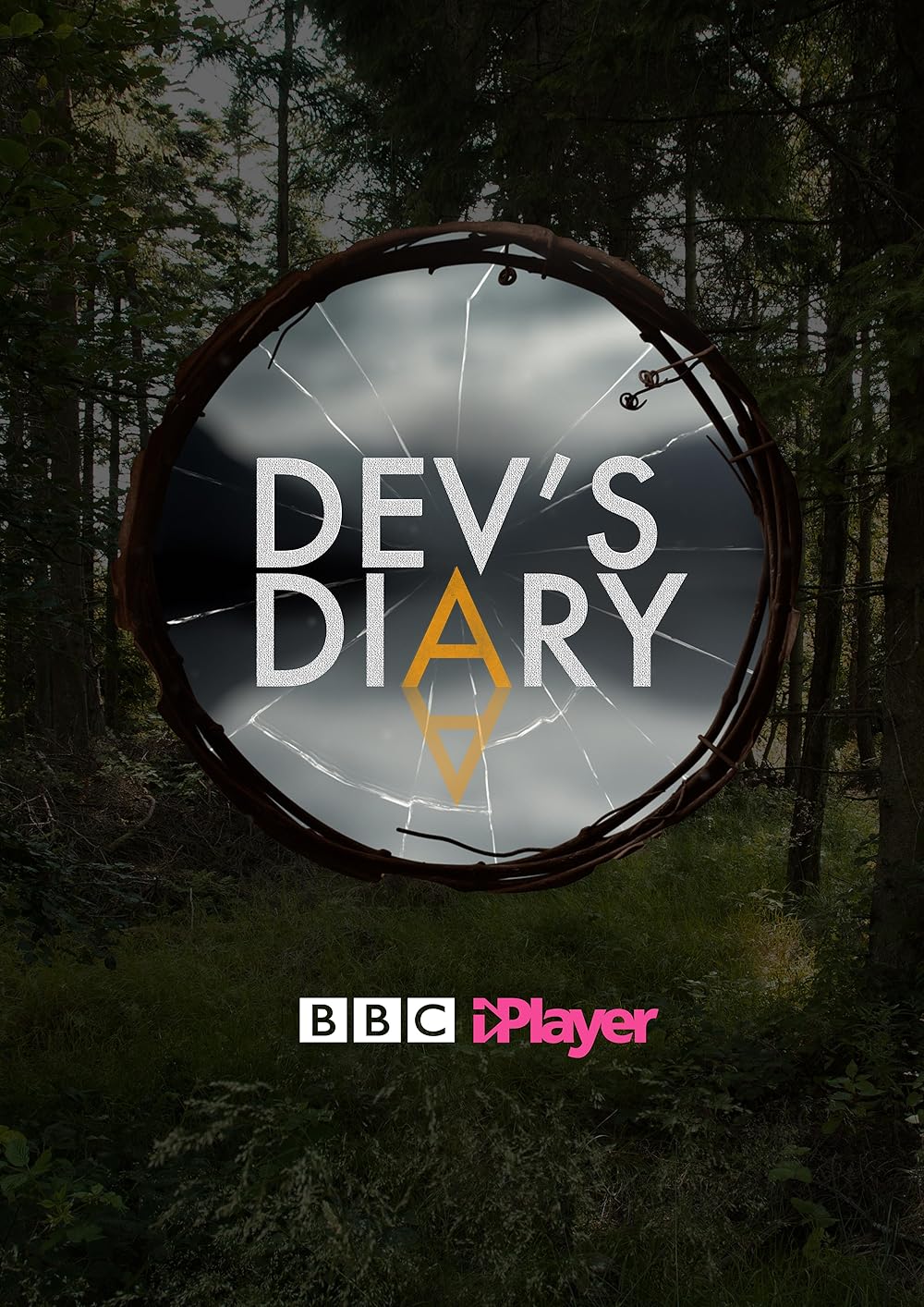 "Dev's Diary" The Final Episode (TV Episode 2018) - IMDb