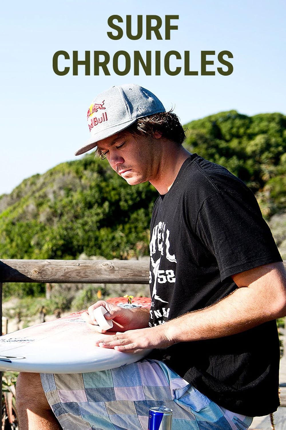 Surf Chronicles (TV Series 2011– ) - IMDb