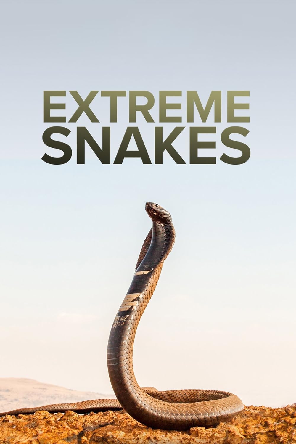 Extreme Snakes (TV Mini Series 2023) - IMDb