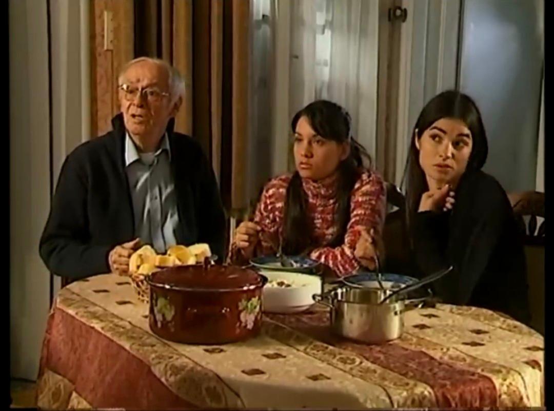 Ljubav, navika, panika (2005)