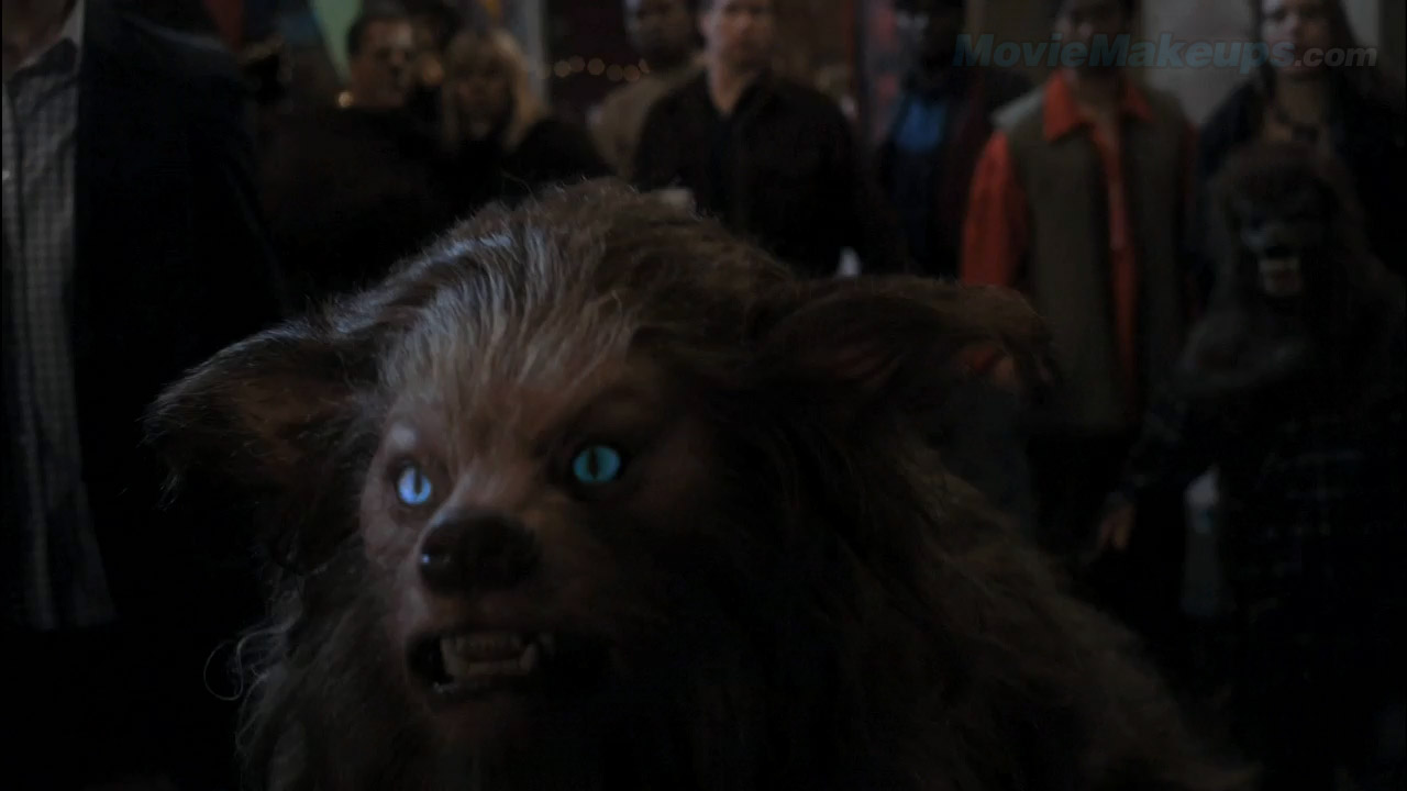 The Boy Who Cried Werewolf (2010)