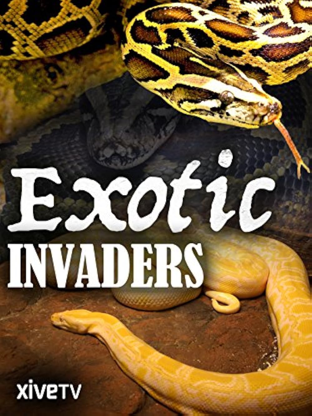 Exotic Invaders: Pythons of the Everglades (TV Movie 2015) - IMDb