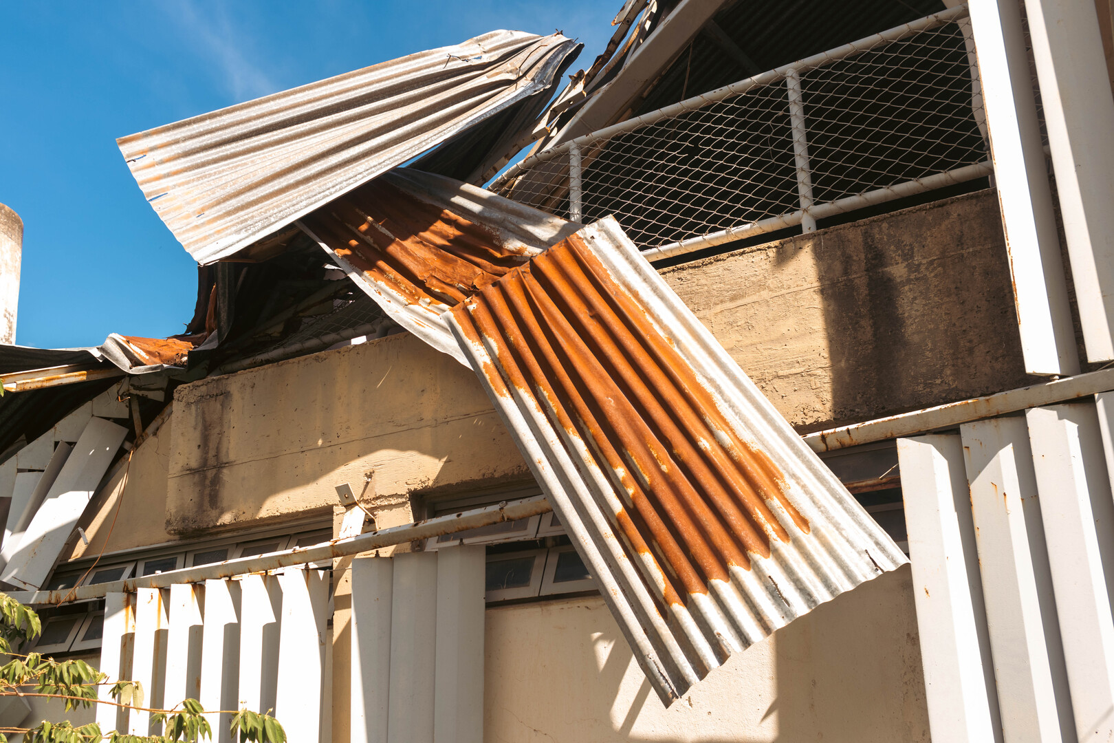 Selective Memory (2024)