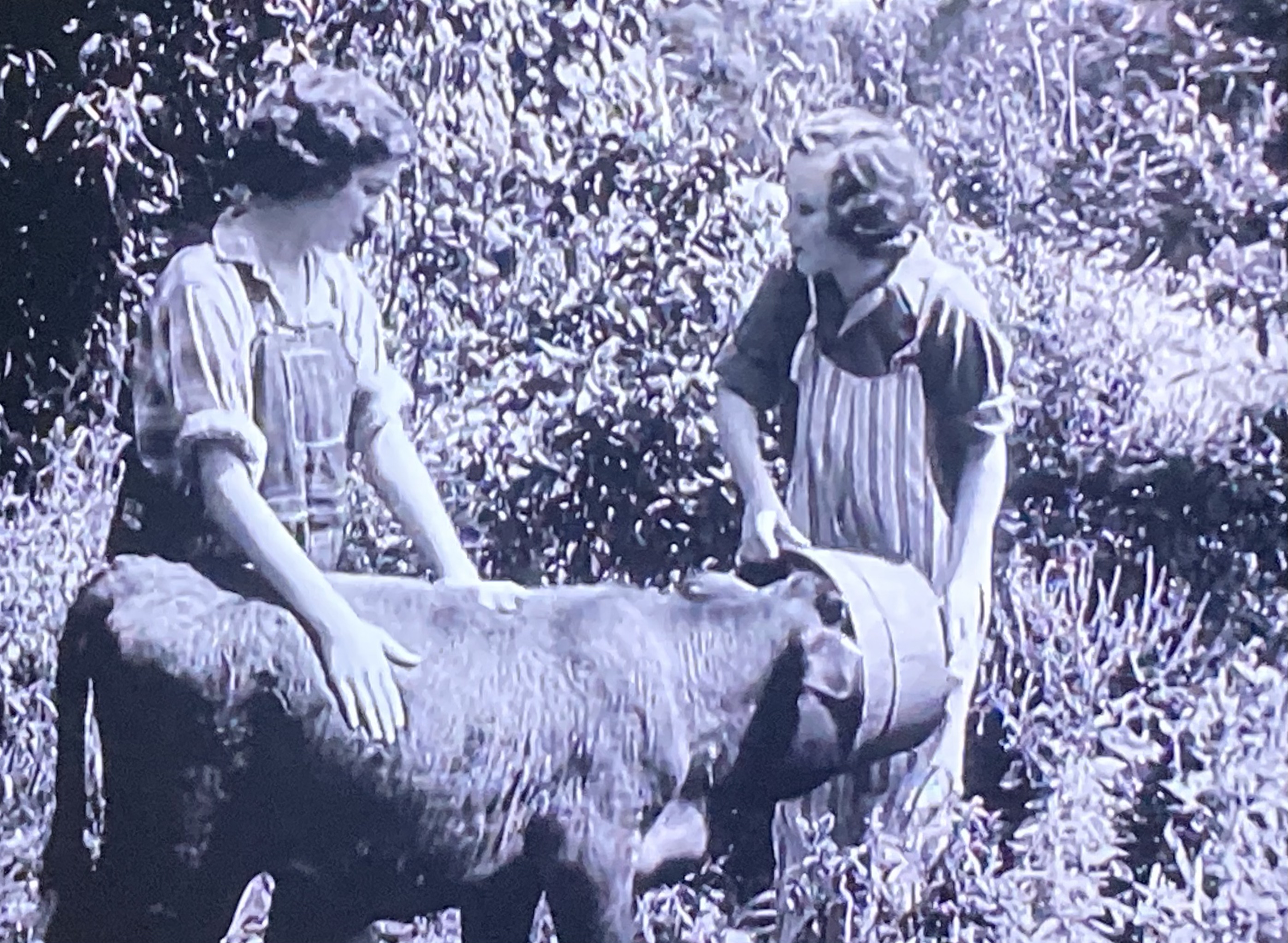 Can You Imagine? (1936)