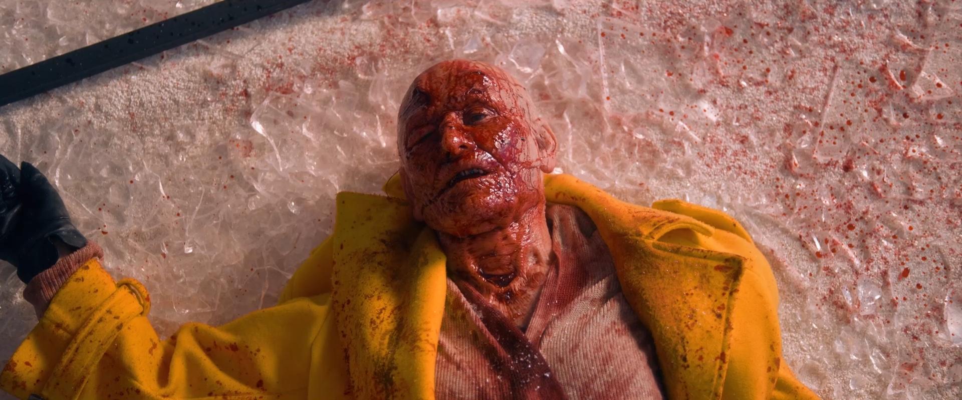 The Substance (2024)