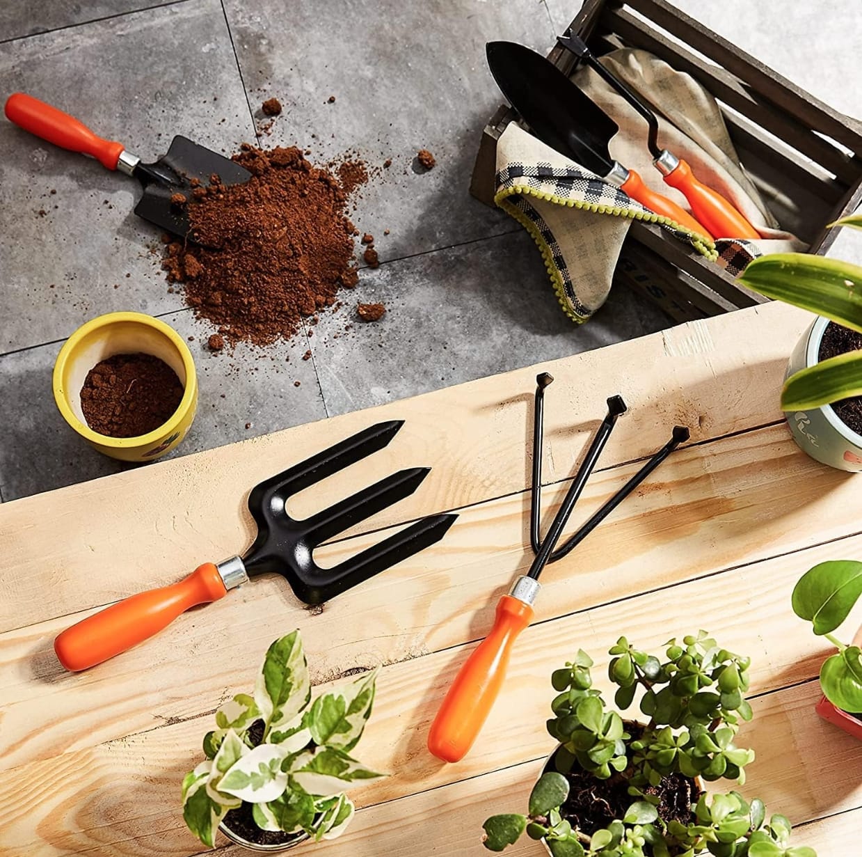 Amazon.in: TOP CLASS