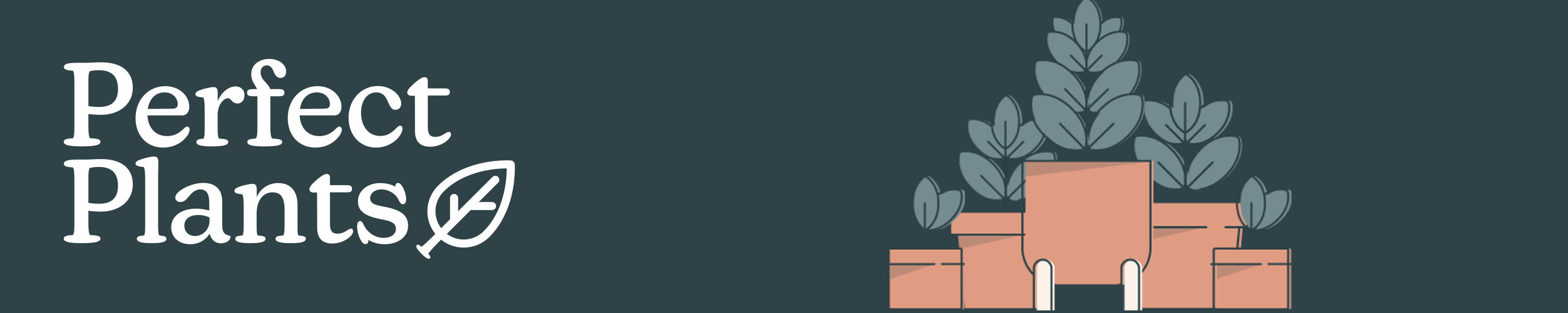 Amazon.co.uk: Perfect Plants: Perennials