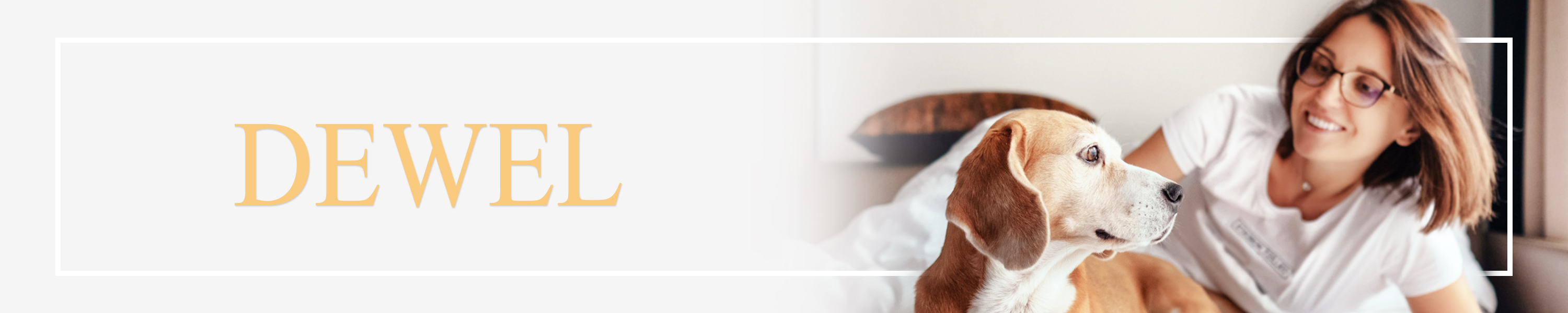 Amazon.de: DEWEL ist bestrebt, seinen Kun: DEWEL Zeckenhalsband für Hunde