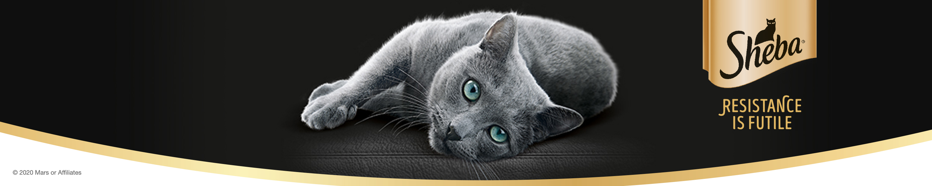 Amazon.co.uk: Sheba