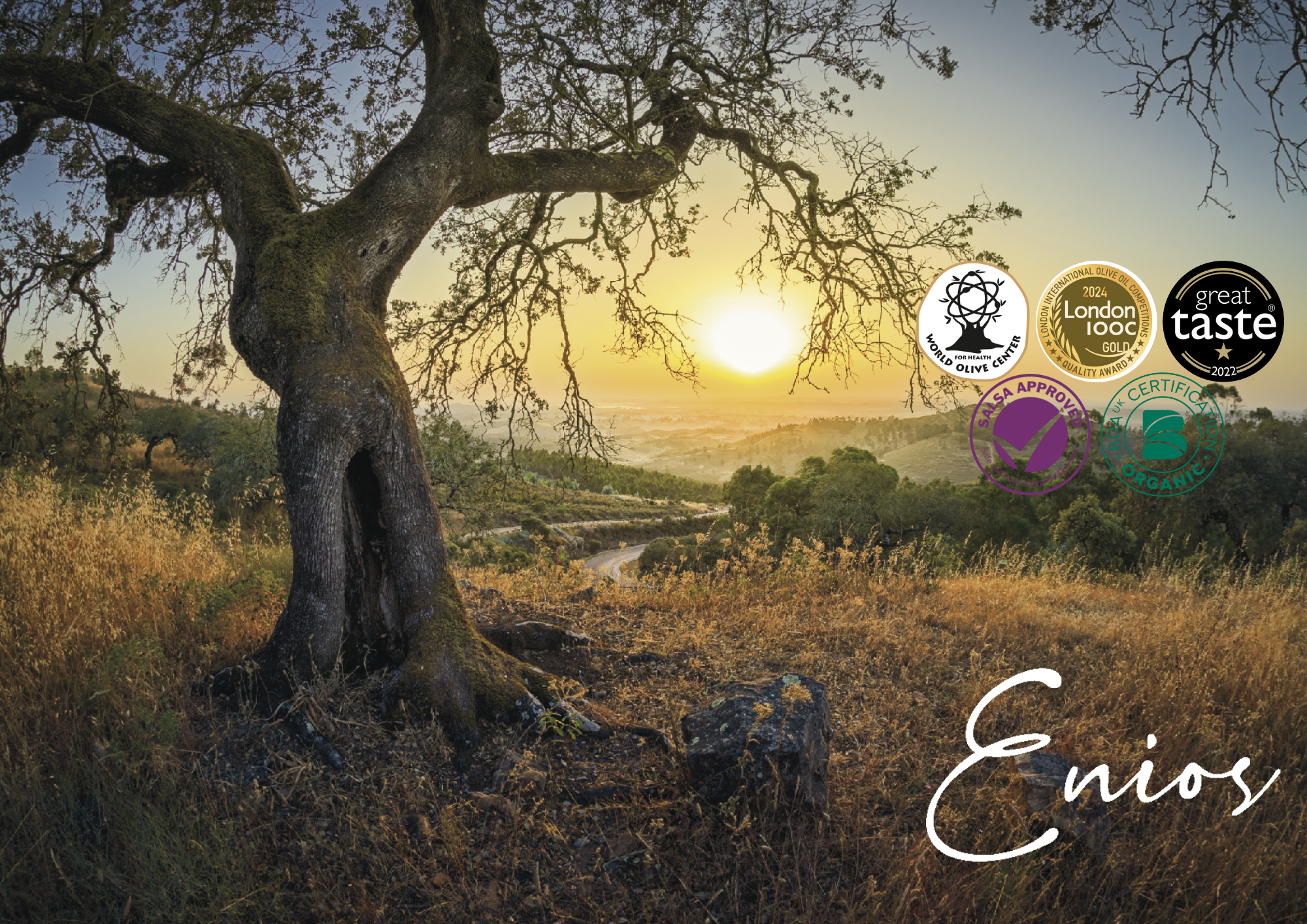 Amazon.co.uk: Enios Premium Products: Infused Oils