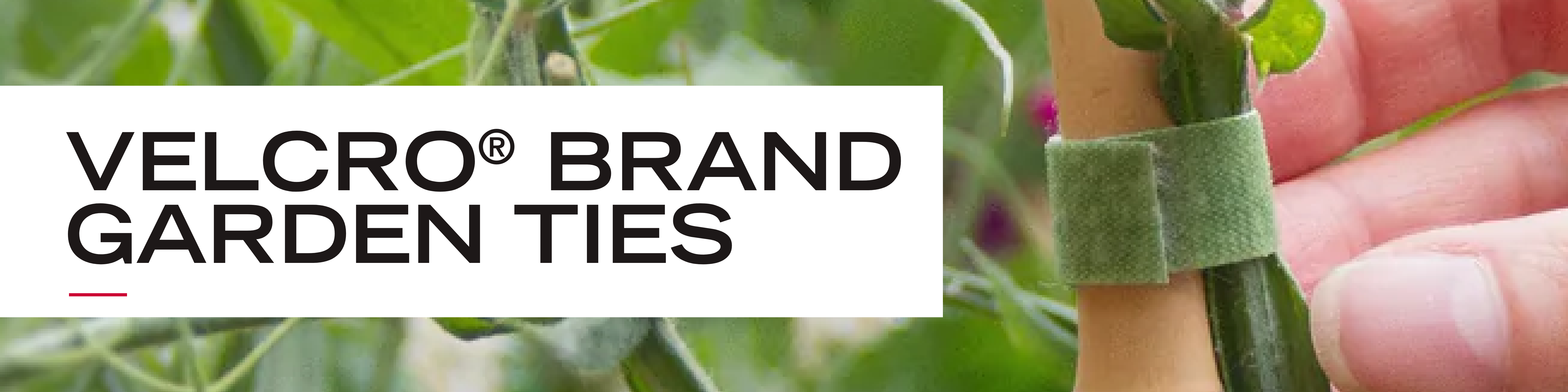 Amazon.co.uk: VELCRO Brand: Garden & Plant Ties