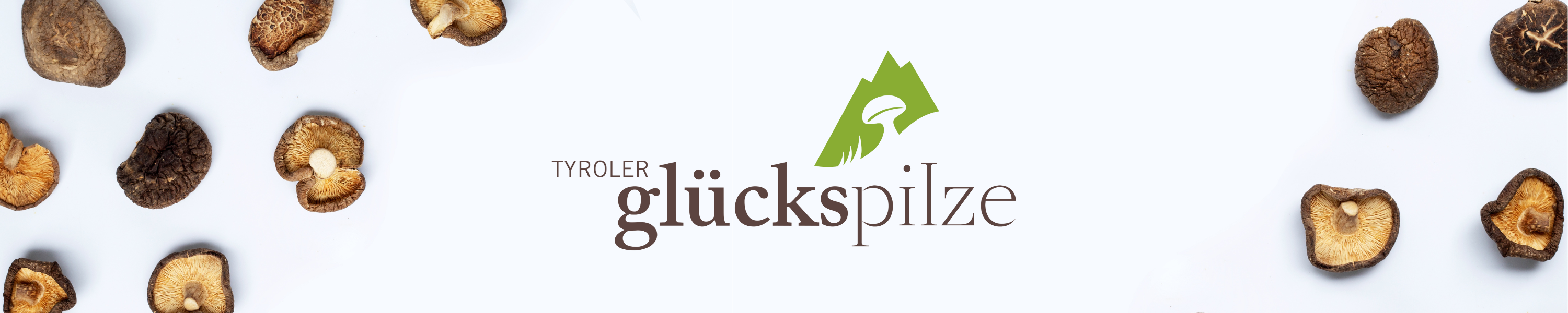 Amazon.de: Tyroler Glückspilze Vitalpilze