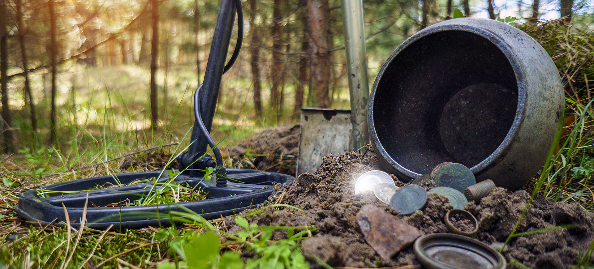 Amazon.de: DETECH METAL DETECTORS: Relic Striker