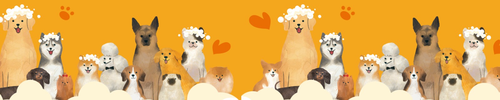 Amazon.in: Tell Tails: Rough Flaky Coat