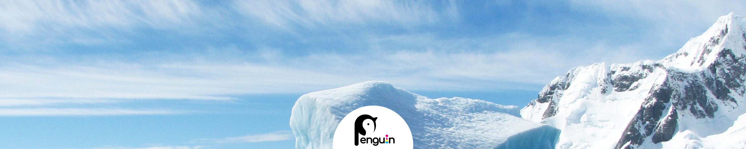 Amazon.it: Penguin: Canon 540 541