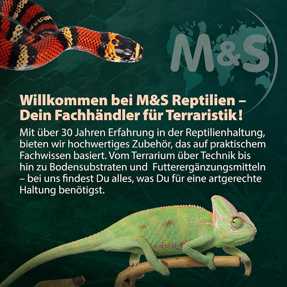 Amazon.de: M&S Reptilien