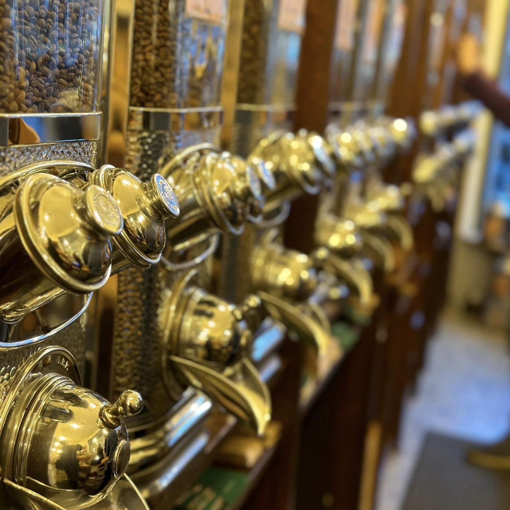 Amazon.de: Mocca Haus: kräftig