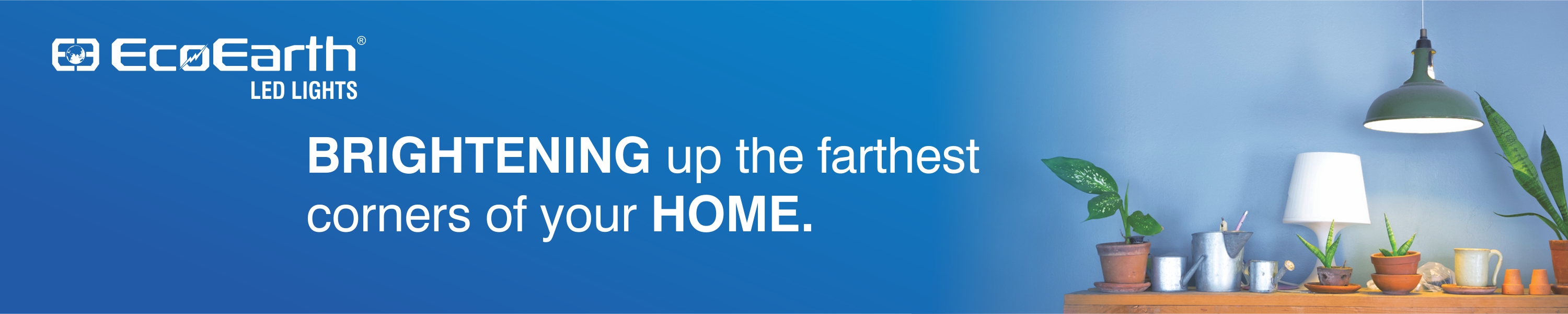 Amazon.in: EcoEarth: More