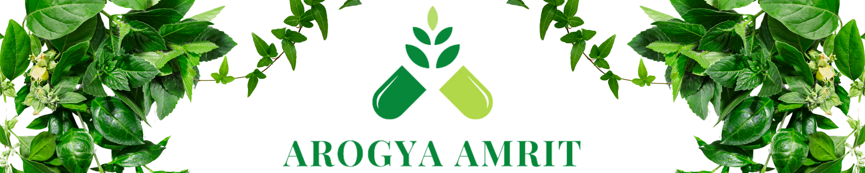 Amazon.in: Arogya Amrit: Product