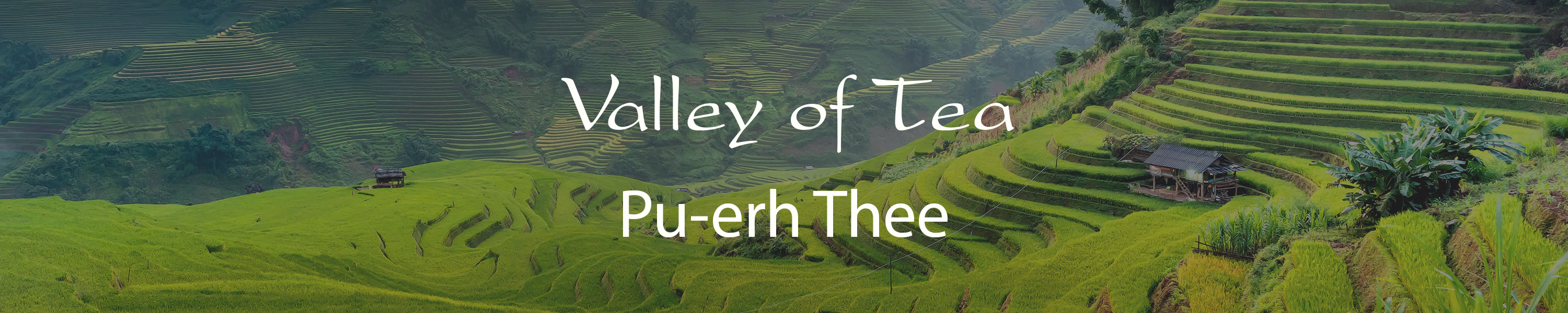 Amazon.fr: Valley of Tea: Shou Pu-erh Thee