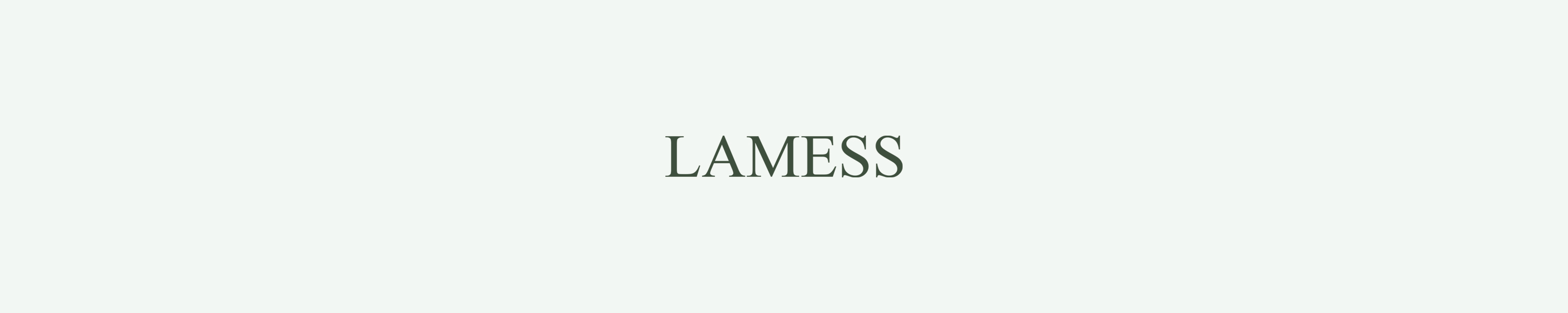 Amazon.sa: Lamess
