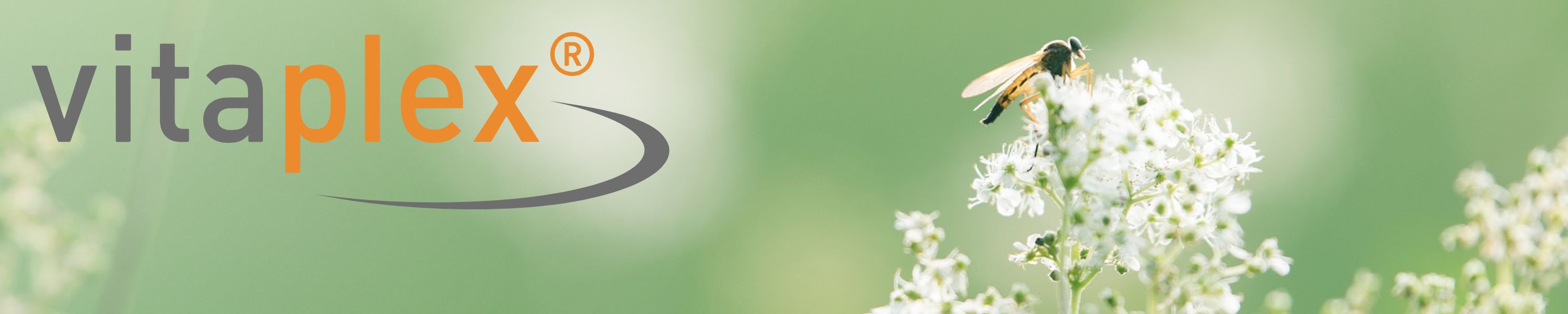 Amazon.de: Vitaplex: Immunsystem