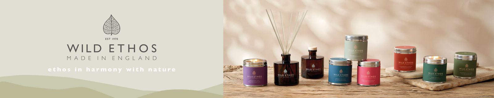 Amazon.co.uk: Ethos Candles: Reed Diffusers