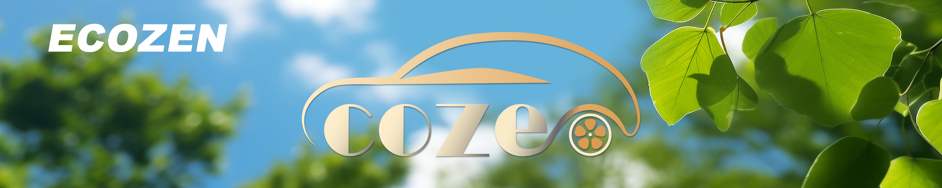 Amazon.fr: ECOZEN: Suzuki