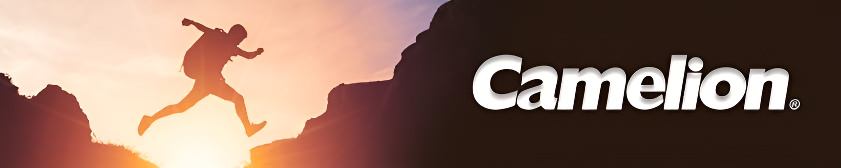 Amazon.eg: Camelion