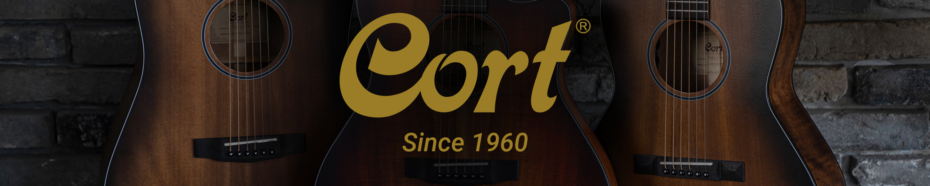 Amazon.in: Cort: Core Series