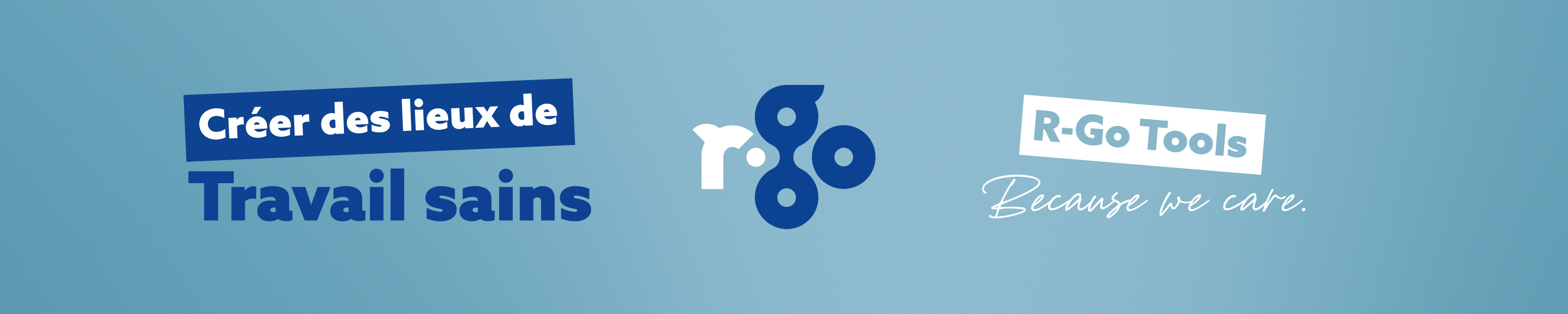 Amazon.fr: R-Go Tools