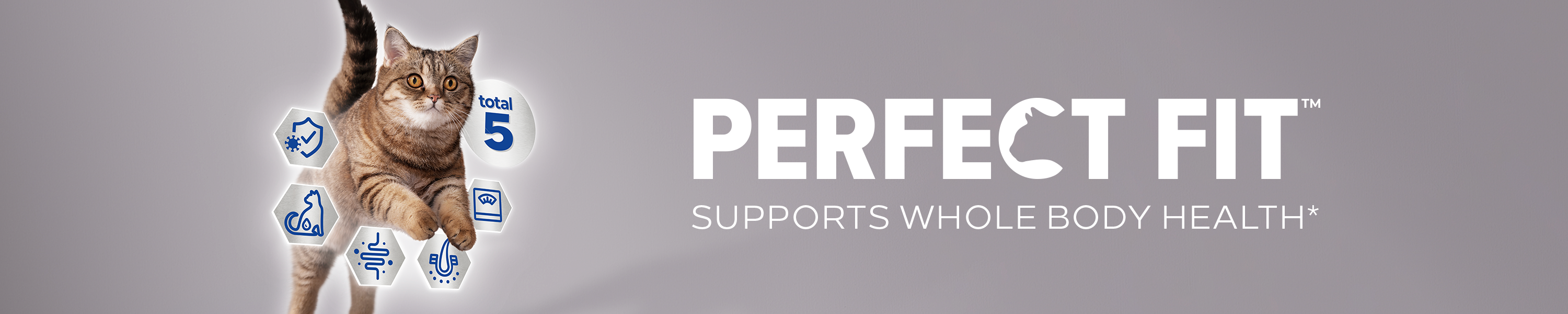 Amazon.co.uk: Perfect Fit Cat